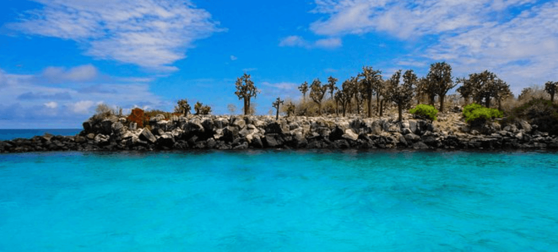 Isla Santa Fe – Galapagos Dreams Tours